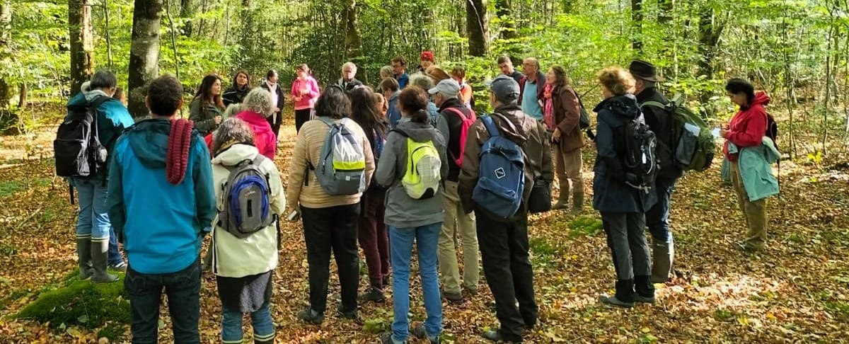 Formation Climat — Comprendre les enjeux pour anticiper et agir ...